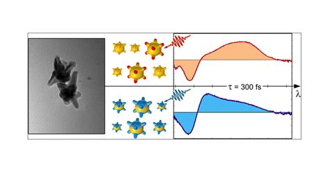 Pump Selective Spectral Shaping Of The Ultrafast Response In Plasmonic