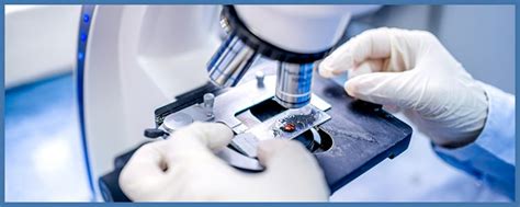 Pap Smear Specialist Near Me In College Park Md