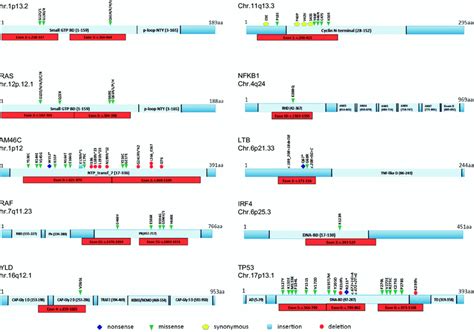 Panel Of Genes And Hot Spot Regions Covered By The Next Generation