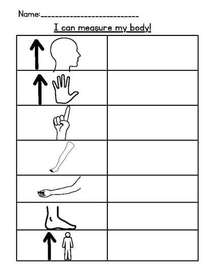 Math Measurement Activity Measure With Body Parts Free Worksheet