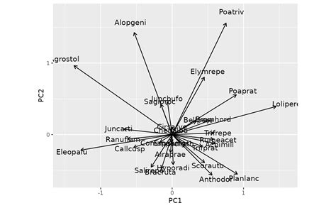 Ggplot Based Plot For Objects Of Class Rda — Autoplotrda • Ggvegan