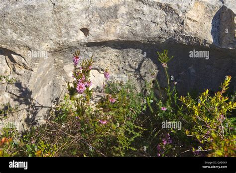 Tumbas De La Edad De Bronce Fotografías E Imágenes De Alta Resolución