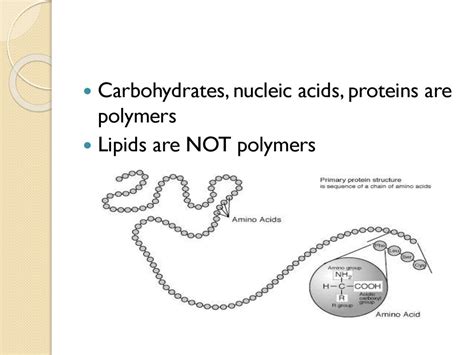 Monomers And Polymers презентация онлайн