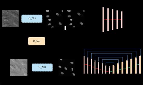 The Framework Of CGAN Model A The Training Phase Of CGAN The