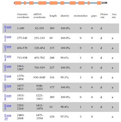 Alignment As On Plus Strand Of MIPS Genomic Sequence And On Plus Strand Download Scientific
