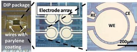 photograph of a cmos biosensor array chip in package and close up views