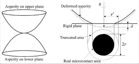 Single Asperity Pair And Its Simplification Download Scientific Diagram
