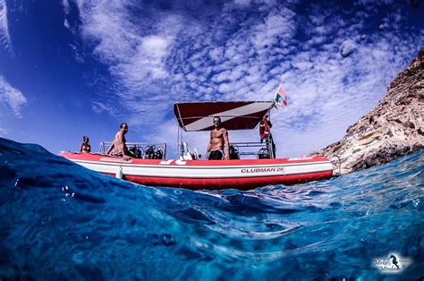 Diving Center Shark Divers 2025 All You Should Know Before You Go W