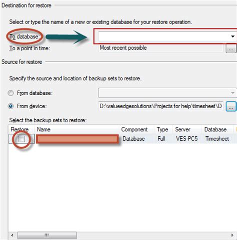 Restore Database Using Backup File Bak Sql Expert Team