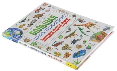 Книжный мир