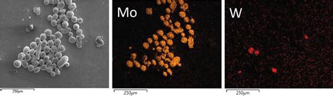 Dust Particles With 42 μm Average Size De Sector 2007 Mainly Composed