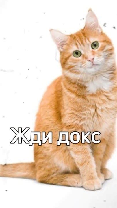 жди докс Youtube