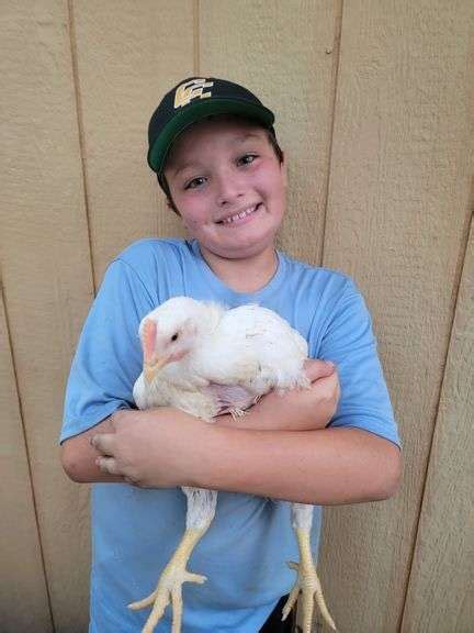 Mason Cramer Liberty Leaders Breeders World