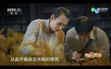 Bilibili