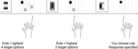 Three Example Trials From The Task Used In Experiment Each Including Download Scientific