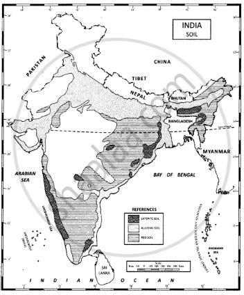 On An Outline Map Of India Mark The Areas Covered By The Following Soil Categories I Red