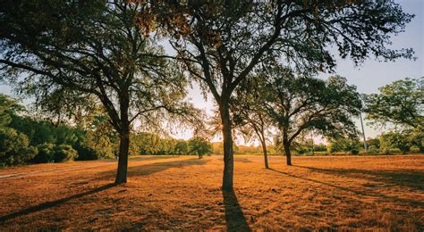 ffandr issue 428 twin elm ranch by foster farm and ranch issuu