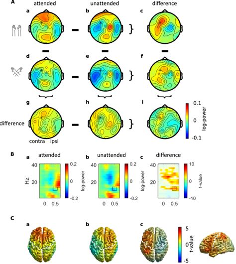 Alpha Band Oscillations Reflect External Spatial Coding For Tactile Stimuli In Sighted But Not