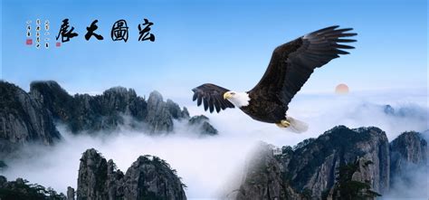 搏击长空舞云鹰，朝翔万里追狂风，制霸苍穹孤此生，只有一人在心中赤峰黄金600988股吧东方财富网股吧