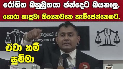 හොරාකාපුවගෙන් ඡන්ද කරන්න රෝහිත බහුබූතයෝ ඒව නම් සුම්මා නීතීඥ අමිල