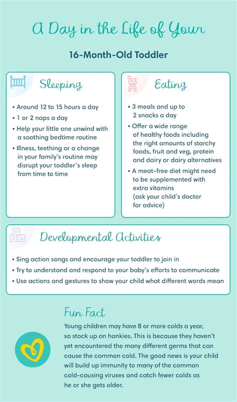 16 Month Old Development And Milestones Pampers Uk
