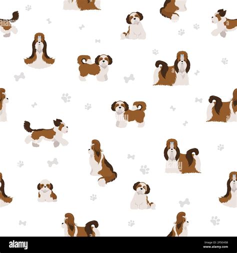 Shih Tzu Poses Coat Colors Seamless Pattern Vector Illustration Stock