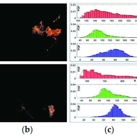 Pixel Distribution For Forest Fire Images Ab Panels Show The