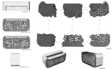 Pattern Extrusion And Printable Segments Download Scientific Diagram