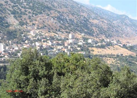 بعد الإشكال الدموي في مشغرة بيان هام من حركة امل وحزب الله
