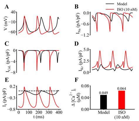 Frequency Dependent Properties Of The Hyperpolarization Activated Cation Current If In Adult