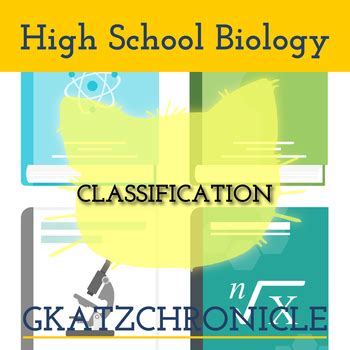 CLASSIFICATION VOCABULARY REVIEW By GKatzChronicle TpT