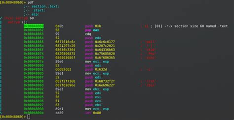 6d5 Radare2 Analysis Hodorsec