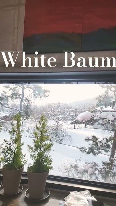 눈올때는 창문보면서 커피한잔 여행일기 Youtube