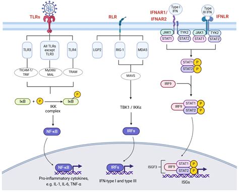 Advancing Viral Defense Unravelling The Potential Of Host Directed