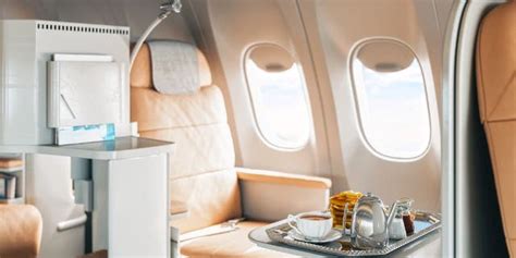 Plus Size Airline Passenger Demands Free Seats And Bigger Bathrooms In