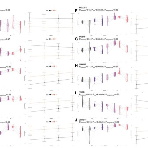 figure gene pairplots and modeled expression trends of key degs found