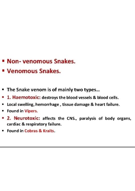 Snake Venom Bsc Studocu