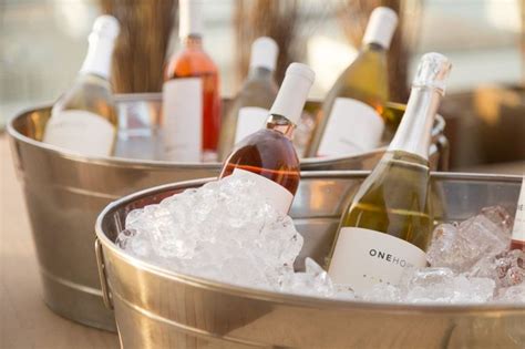 Best Wines For Beginners Onehope Blog Wine Bucket Onehope Wine Wines