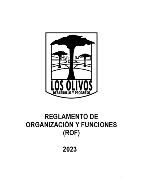 Nuevo Rof Pdf Alcalde Gobierno Local