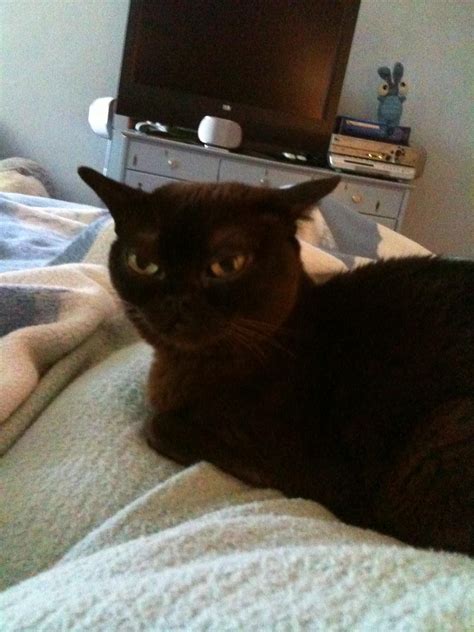 Tiny Stealth Bomber Sadly Had To Be Decommissioned Five Years Ago Here She Is In Action R