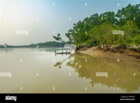 World Largest Mangrove Forest Sundarbans Famous For The Royal Bengal
