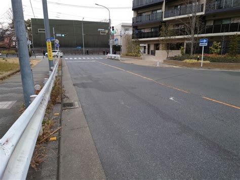 本田哲の活動 右左折の路面標示を