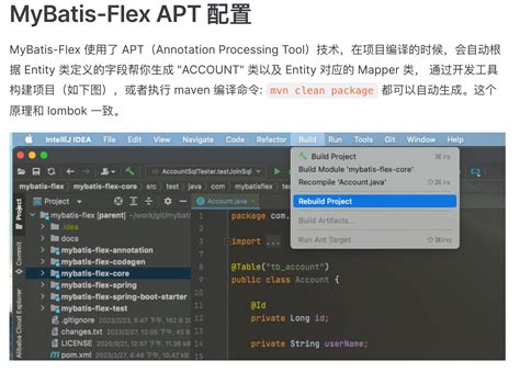 Mybatis Flex 框架的学习与使用 Sora33