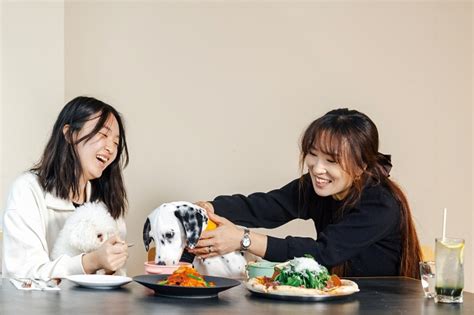반려인·반려동물 ‘겸상 외식 가능해진다 ‘반려동물 동반 출입 음식점 시범사업 허용 네이버 블로그