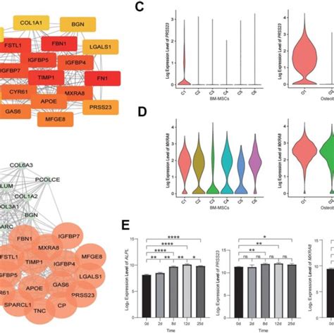 Scrna Seq Analysis Reveals Different Cell Subtypes In Monocytes T Download Scientific Diagram