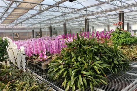 Movable Galvanized Steel Seeding Bed Bench Nursery Bed Seedbed