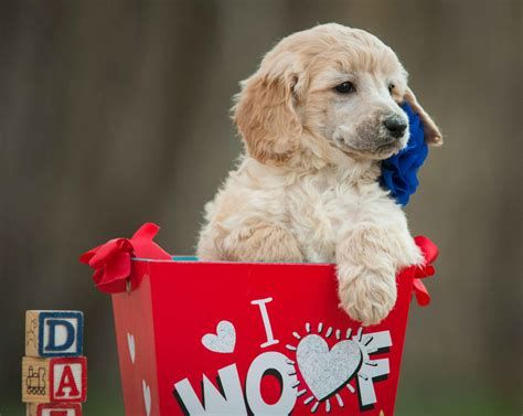 How To Format A Number With Commas In React The Web Dev