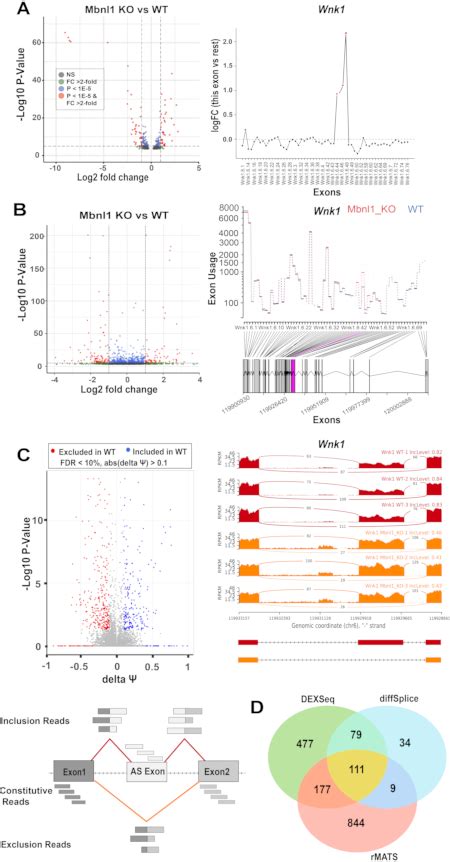 Identification Of Alternative Splicing And Polyadenylation In Rna Seq