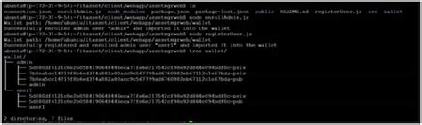 Designing Front End Application With Hyperledger Fabric Through SDK Blockchain Developer Guide