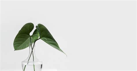 effective learning exploring user centered elearning design